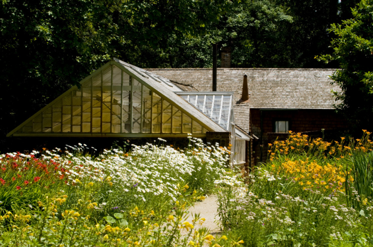 Discover the Wonders of Empire Mine State Historical Park in Grass ...